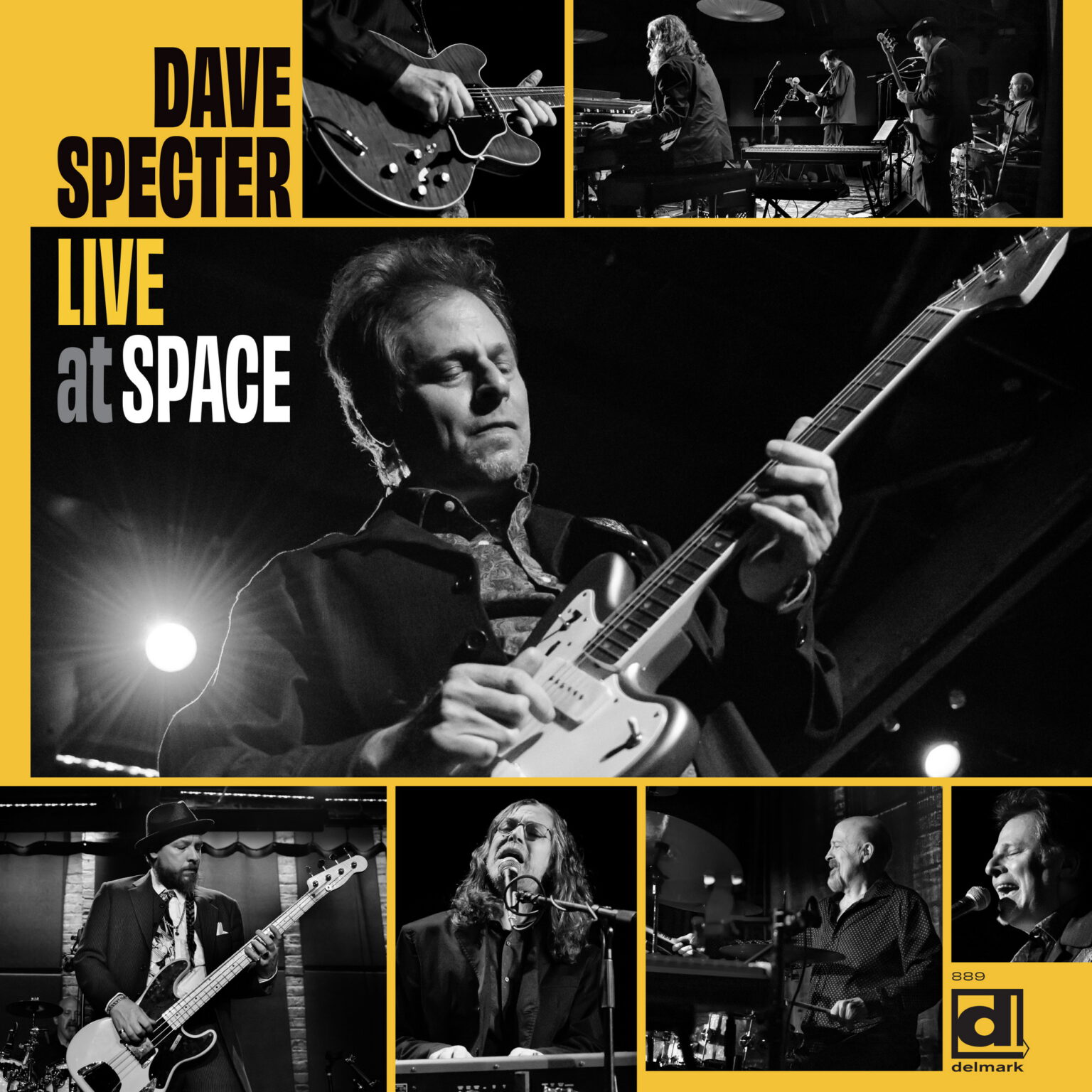 Review: Dave Specter - Live At Space I Bluestown Music